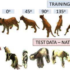 Experimental Setups And Examples Of Objects From The Stereo Object Download Scientific Diagram