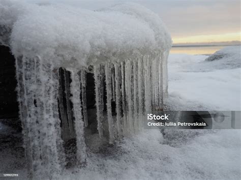 얼음 고드름이 매달려 있습니다 북극 북부 겨울 철 얼어붙은 자연 복고풍 또는 빈티지 스타일 흑백 이미지 호수에 얼어 붙은 물 카렐리아 러시아 2020년 12월 오네가 호수