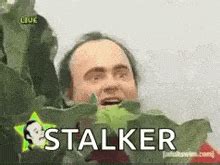 Stalker  Stalker S Page 7 Wiffle