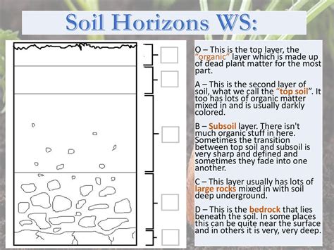 Weathering And Soil Formation Ppt Download