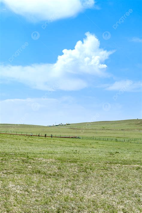 Summer Grassland Morning Grassland Summer Material Photography Map With