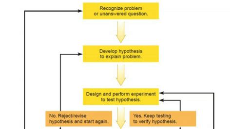 Nta Ugc Net And Set Exams Inductive And Deductive Reasoning In Hindi Offered By Unacademy