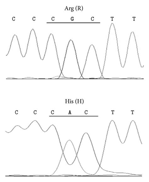 The Primer Annealing Site Design And Amplification Protocol For Download Scientific Diagram