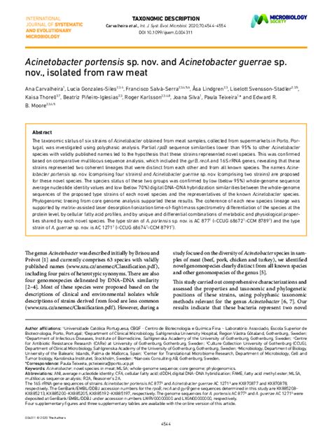 Pdf Acinetobacter Portensis Sp Nov And Acinetobacter Guerrae Sp