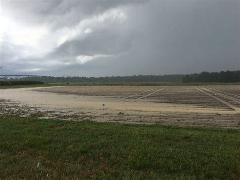 Phosphorus Basics Phosphorus Species Disruptive To Freshwater Systems Alabama Cooperative