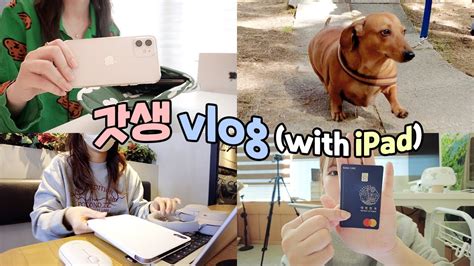 아이패드 활용해서 갓생 흉내내는브이로그프로크리에이트 굿노트 게임 등등 Youtube