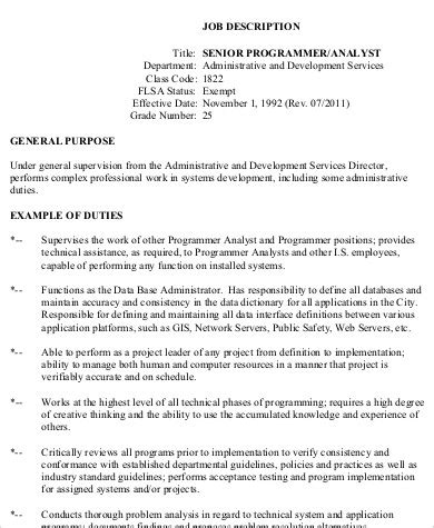 FREE 12 Programmer Job Description Samples In MS Word PDF