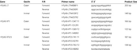 Primer List For Hpyv6 Nested Pcr Download Table