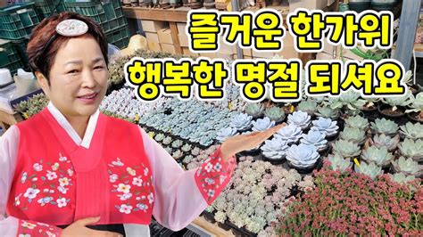다마마 9월 두번째 다육판매 Youtube