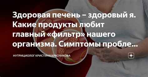 Здоровая печень здоровый я Какие продукты любит главный «фильтр нашего организма Симптомы