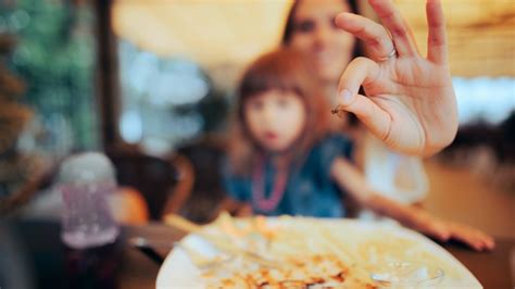 How To Find And Destroy A Cockroach Nest Pest Control Australia