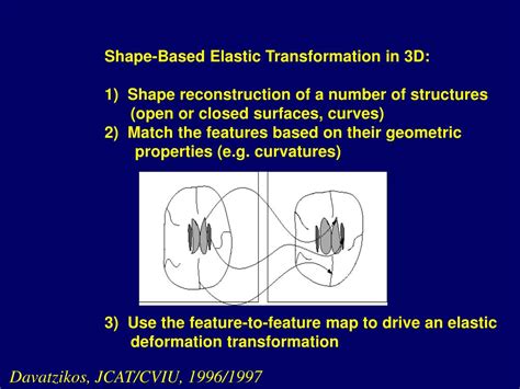 ppt measuring anatomy and its deformation using deformable shape