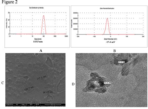 A Average Particle Size Z Average Value Obtained From Dls Data B