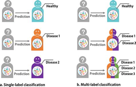 Towards Multi Label Classification Next Step Of Machine Learning For