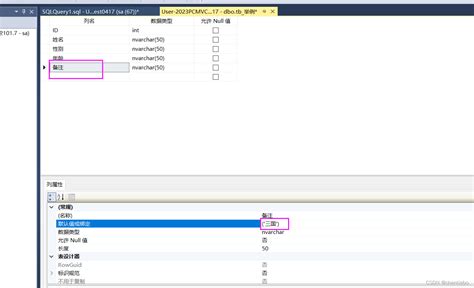 在进行sql语句插入的时候，提示：不能将值 Null 插入列 ‘备注‘，表 ‘test0417dbotb举例‘；列不允许有 Null 值