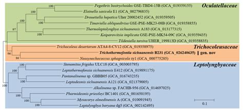 Ml Phylogenomic Inference Of Concatenated Protein Alignment Of 647 Download Scientific Diagram