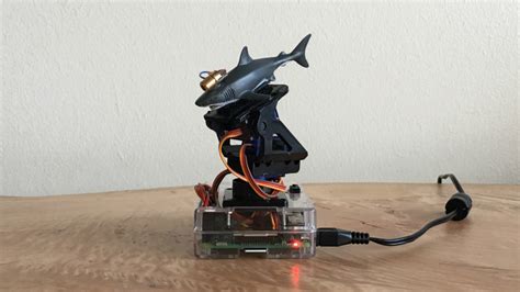 automatic cat laser pointer toy using the raspberry pi storiknow
