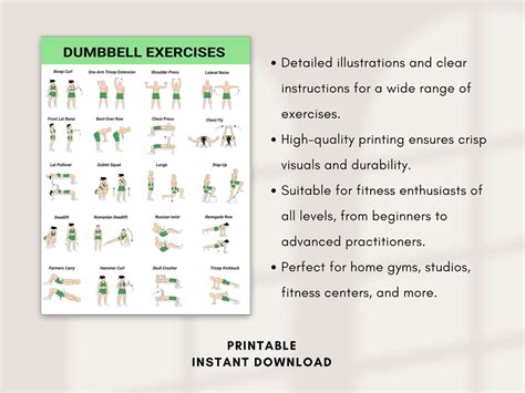 Dumbbell Workout Dumbbell Workout Chart Dumbbell Exercises Dumbbell