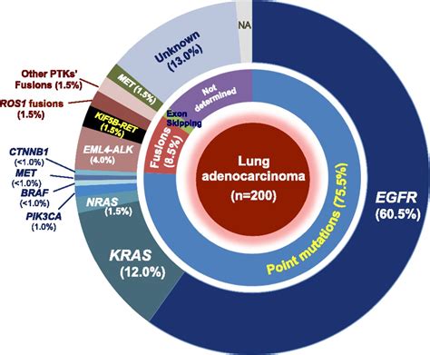 Rare Genetic Mutation Lung Cancer At Walter Abbott Blog