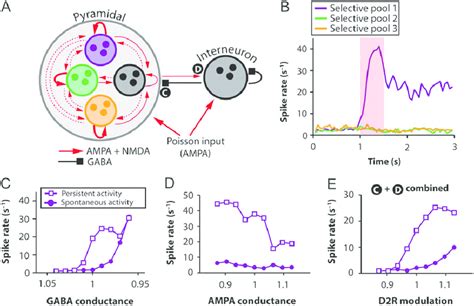 Attractor Network Model For D2r Modulation Of Working Memory A Download Scientific Diagram