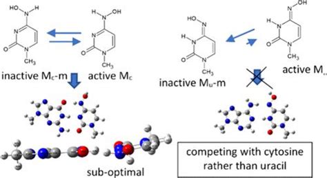 Molnupiravir 互变异构体及其与 Rna 嘌呤碱基复合物的热力学和动力学特征解释了这种新型抗病毒药物的可能作用机制：一项量子化学研究 The Journal Of Organic