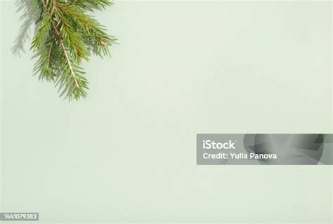전나무 가지 테두리 흰색 배경 크리스마스 배경에 대 한 좋은 0명에 대한 스톡 사진 및 기타 이미지 0명 12월 겨울 Istock