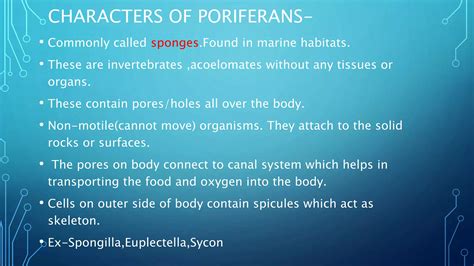 Whittakers 5 Kingdom Classificationpptx