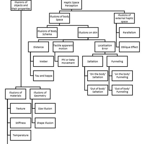 Classification Of Tactile Illusions Download Scientific Diagram