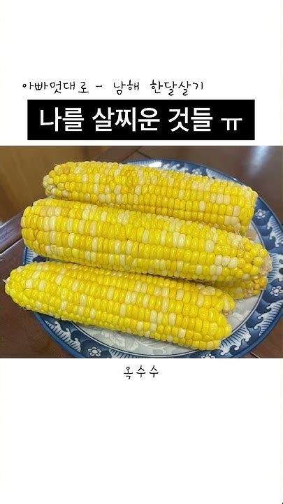 아빠멋대로 한달살기 In 남해 나를 살찌게 한 것들 Youtube