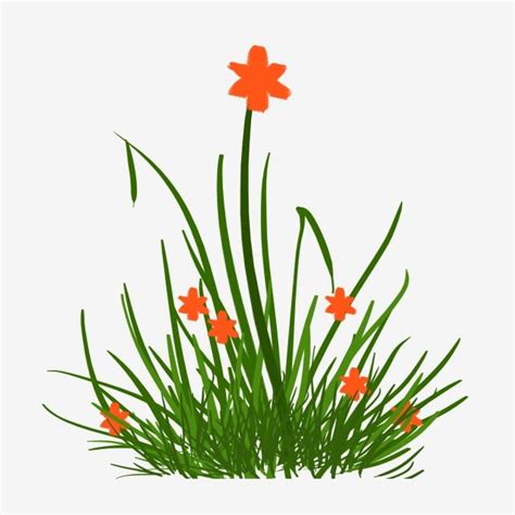 Flower Plant Grass Illustration Outdoor Flower Orange Png