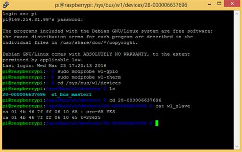 Raspberry Pi DS B Temperature Sensor Tutorial SIN