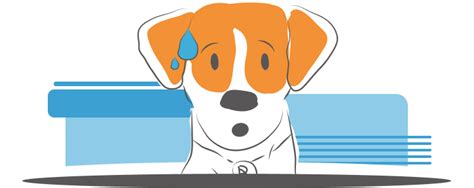 Salesforce Editions Comparison Routine Automation