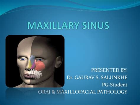 Maxillary Sinuspptx Gaurav