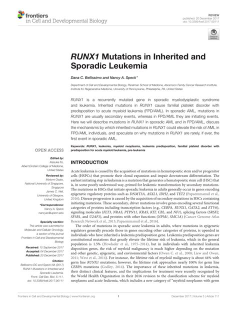 Pdf Runx1 Mutations In Inherited And Sporadic Leukemia