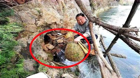 湖北一山洞常年吐鱼上千斤专家赶来一看立马不淡定了 社会 奇闻 好看视频