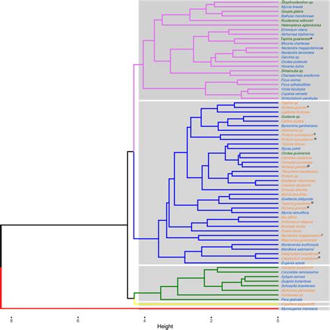 Hierarchical Agglomerative Clustering Of Litter Traits For Tree Species