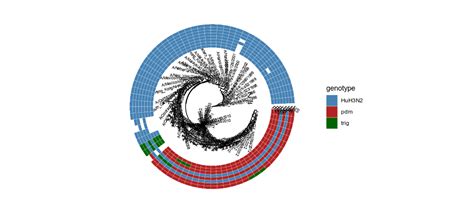 R Circular Tree With Heatmap Stack Overflow