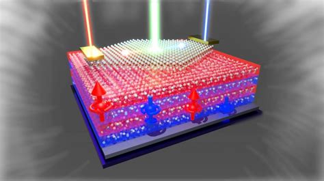 What Is Buoyancy The Physics Of Floating