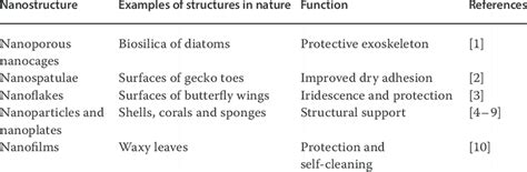 1 Examples Of Nanostructured Composite Materials Found In Nature Download Table
