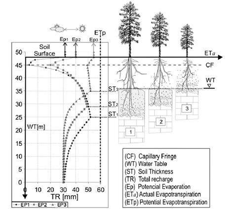 Root Water Uptake Model Transpiration Curves Download Scientific Diagram