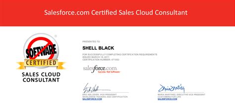 Salesforce Certified Sales Cloud Consultant