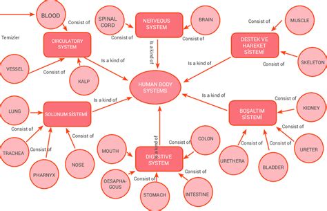 Concept Map In Science Dallas Map