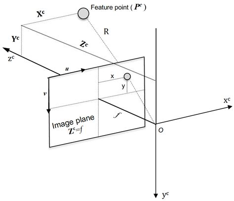 Define Binocular Parallax At Terri Kent Blog