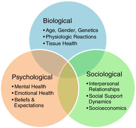 The Biopsychosocial Model And Why Its Important In Our Practice Perth Wellness