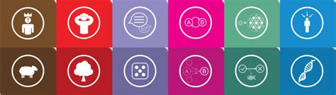 Rhetological Fallacies [interactive] — Information Is Beautiful