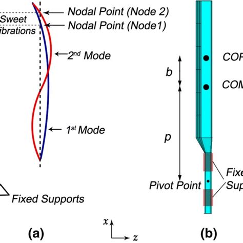 A Location Of Nodal Points On A Cricket Bat B Location Of Cop On The Download Scientific