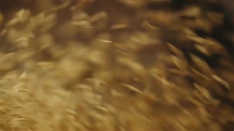 Databaseselection Mysql Techbestpractices Datamanagement