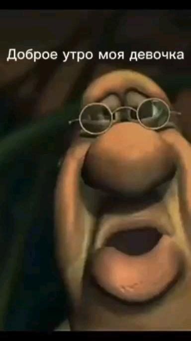 доброе утро🌝моя🤡девочка☀ In 2024 Just For Laughs Videos Silly Memes