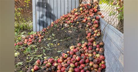 Photodiodes Can Help Save Apples And The Planet Laser Focus World