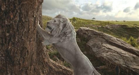 Mufasa The Lion King Kiros 11 By Geedirosso On Deviantart